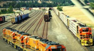 Domex Cargo Service